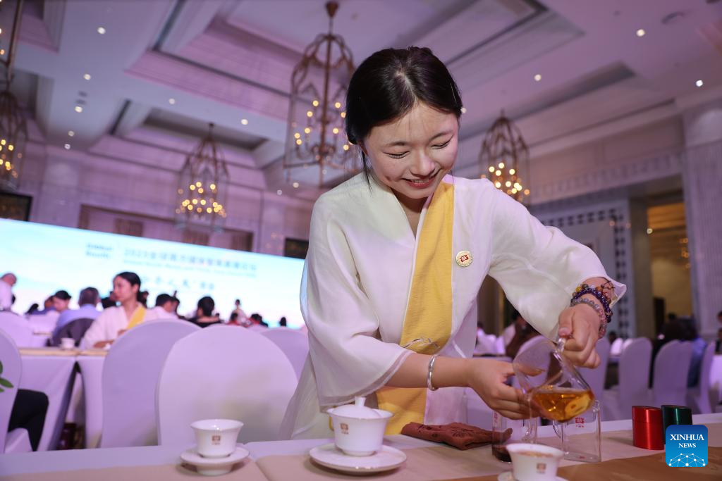 Guests experience Chinese tea culture during 2025 Global South Media ...